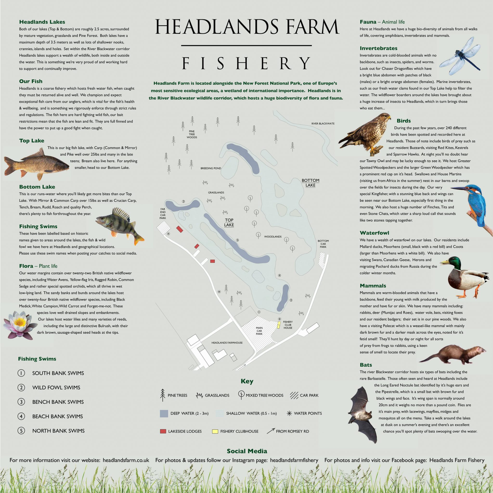 Lake Map - Headlands Farm - West Wellow
