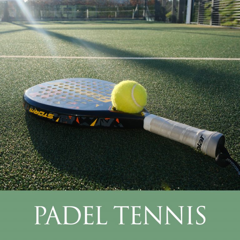 Coffee Shop, Fishery, Studio & Lodges in West Wellow